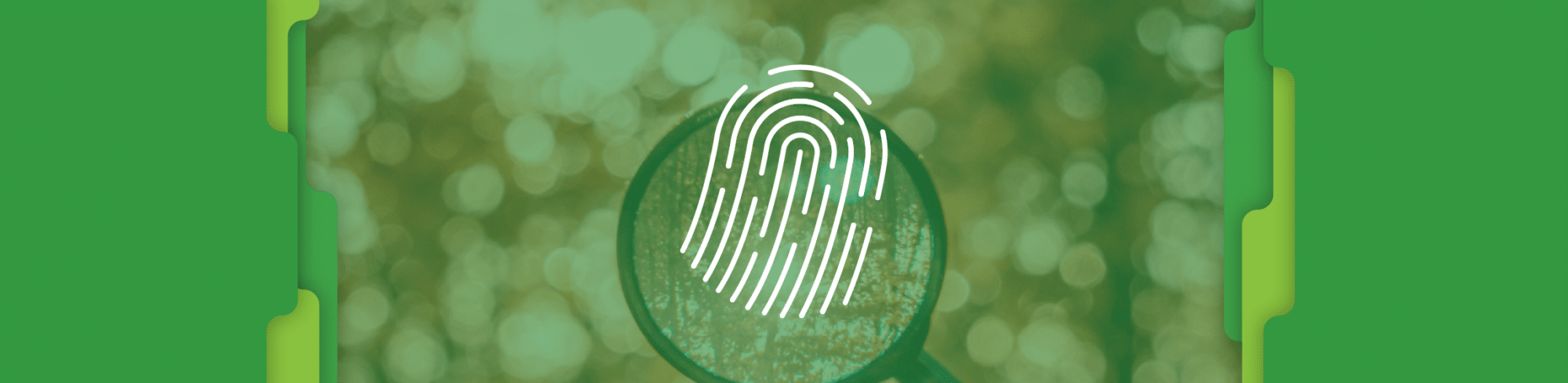 The Difference in DMARC Reports: RUA and RUF - dmarcian