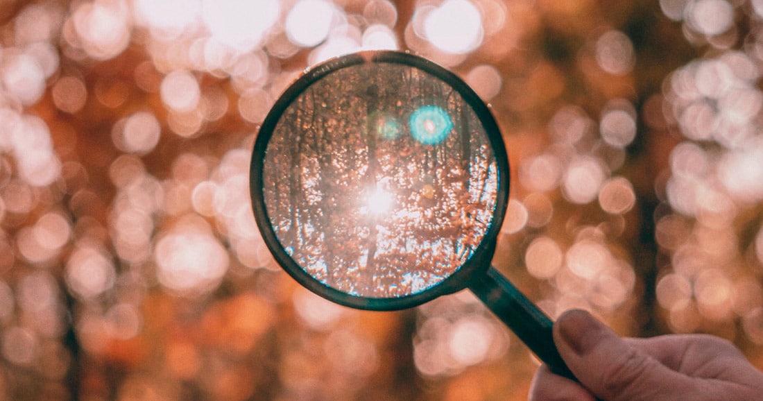 The Difference in DMARC Reports: RUA and RUF - dmarcian