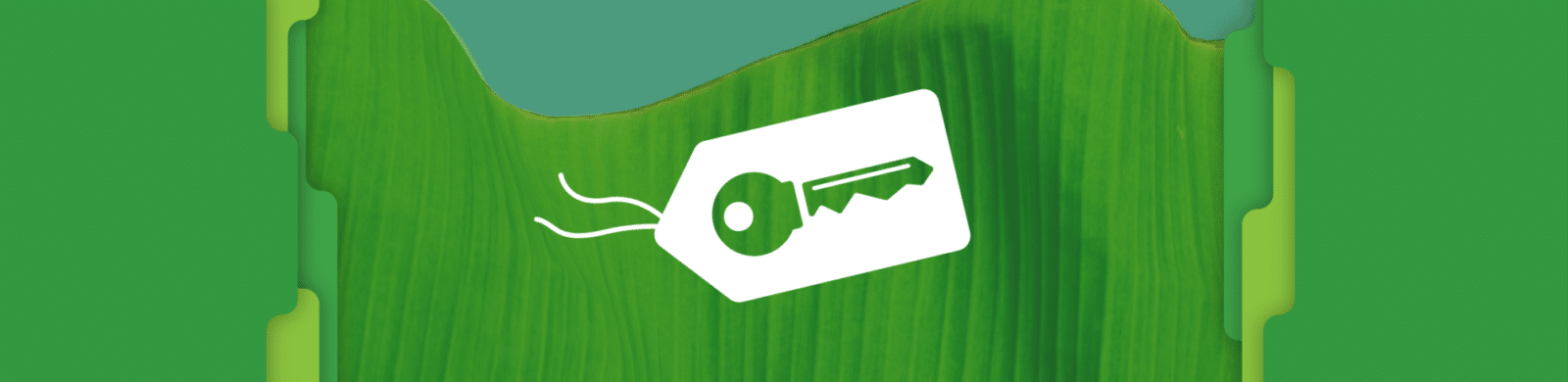 DKIM Selectors - dmarcian