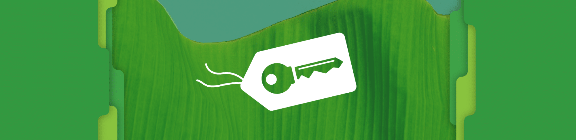 What is DKIM - dmarcian