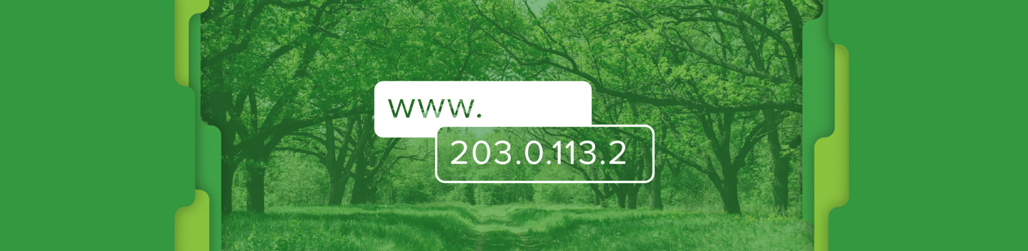 Understanding PTR DNS Resource Records - dmarcian