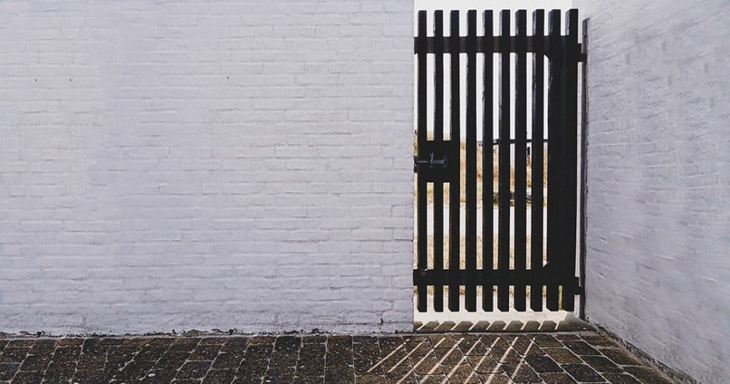 News & Knowledge - dmarcian