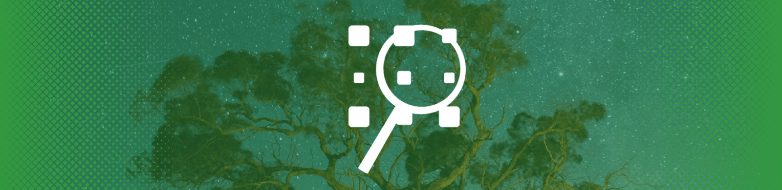 2022 FBI Internet Crime Report - dmarcian