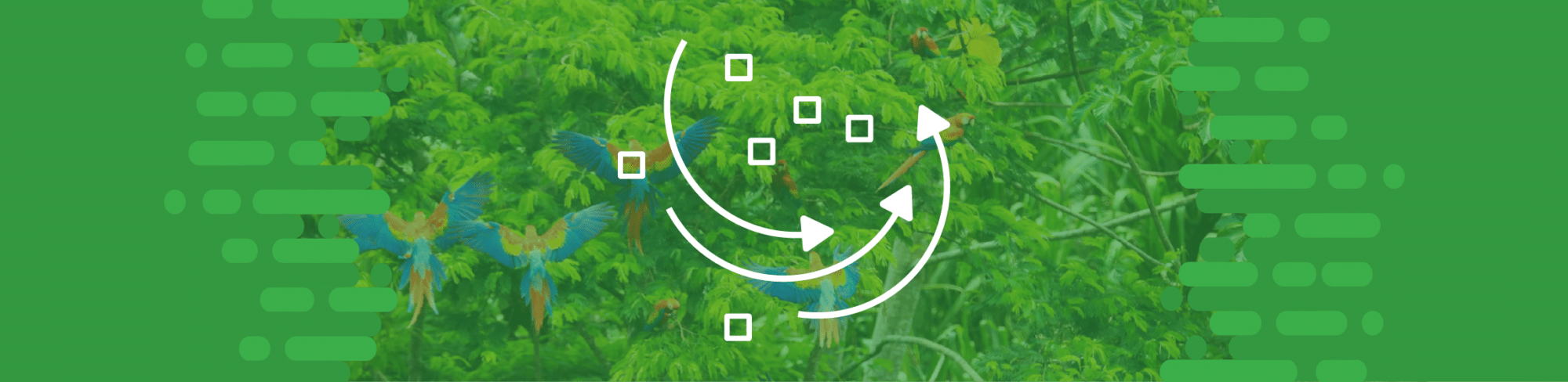 Source Guide: Amazon SES - dmarcian