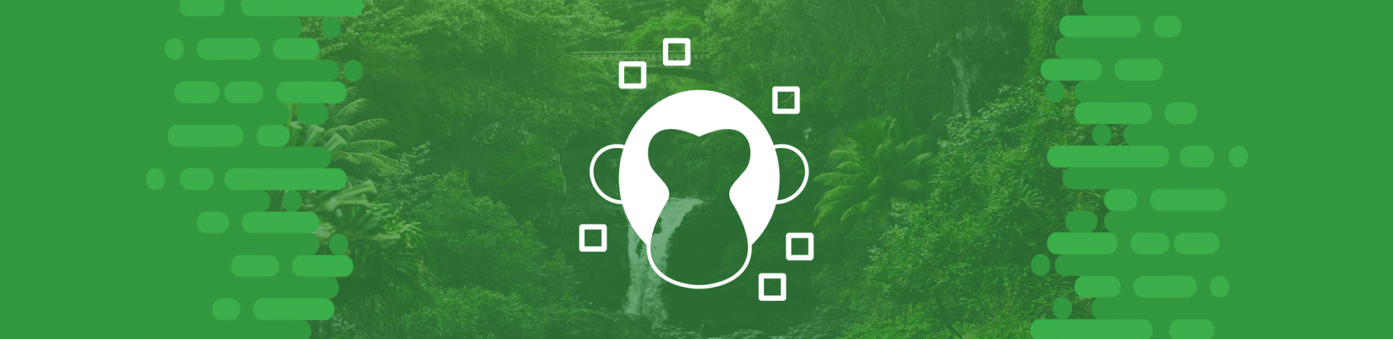 Source Guide: Mailchimp - dmarcian