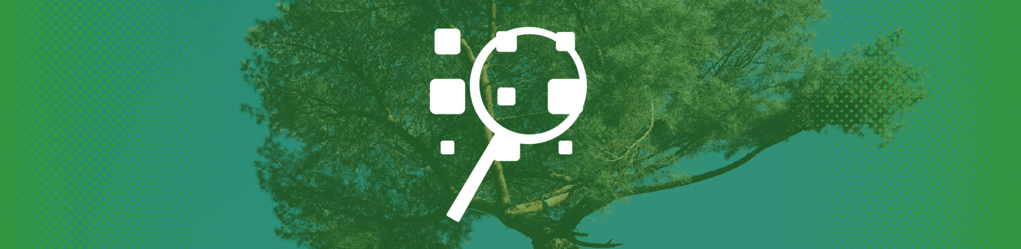 Source Guide: SendGrid - dmarcian