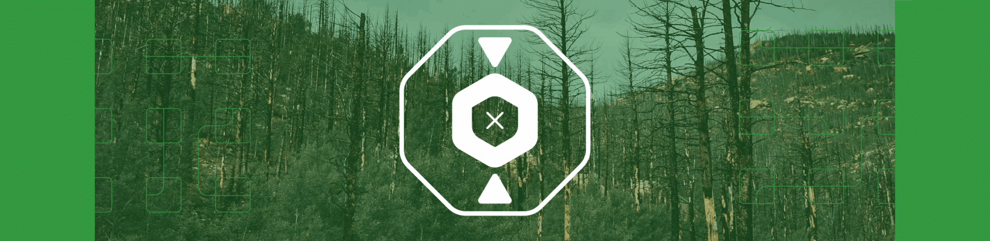 Microsoft DMARC Error Codes for Bulk Senders: Troubleshooting Guide ...